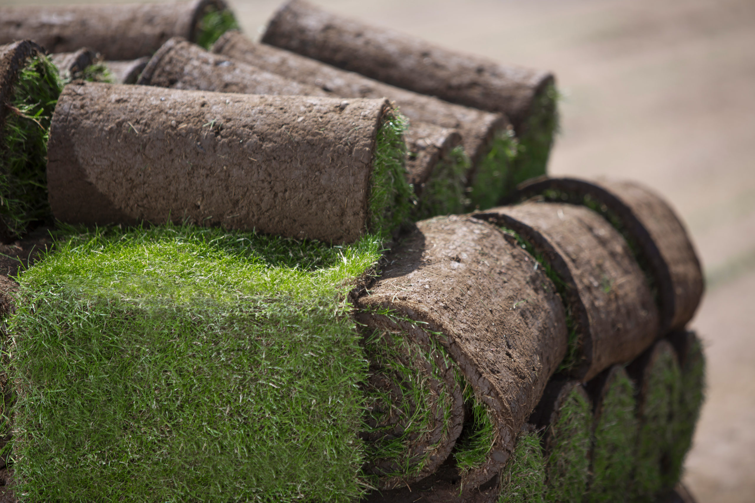 Collection information - Rollaturf